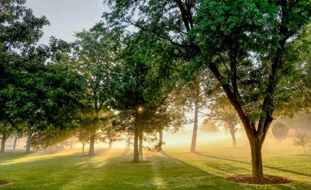 Victoria Liu - Data Cleaning